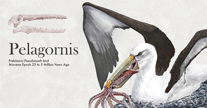 Extinct Animal of the Week: Drawing A Bird