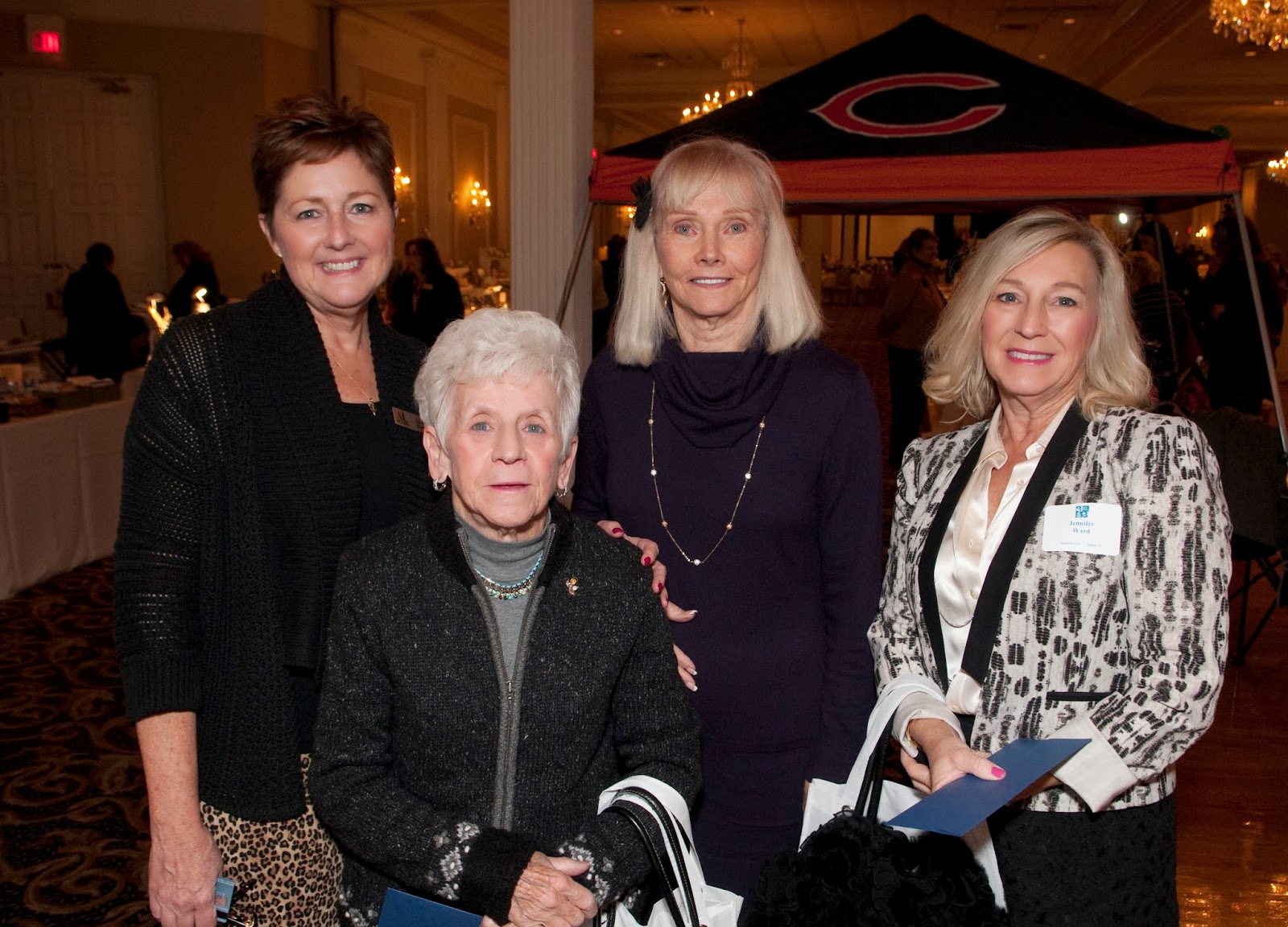 Assistance League of Chicagoland West: Books & Brunch 2013