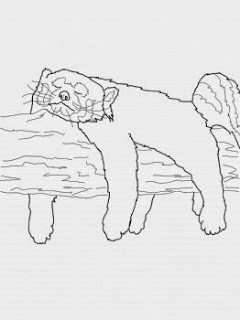 Andy Panda Coloring Pages