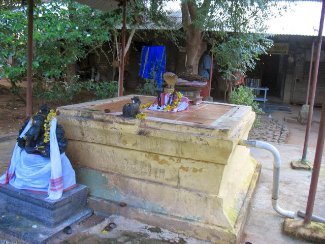 February 2017 - ARUNACHALA GRACE