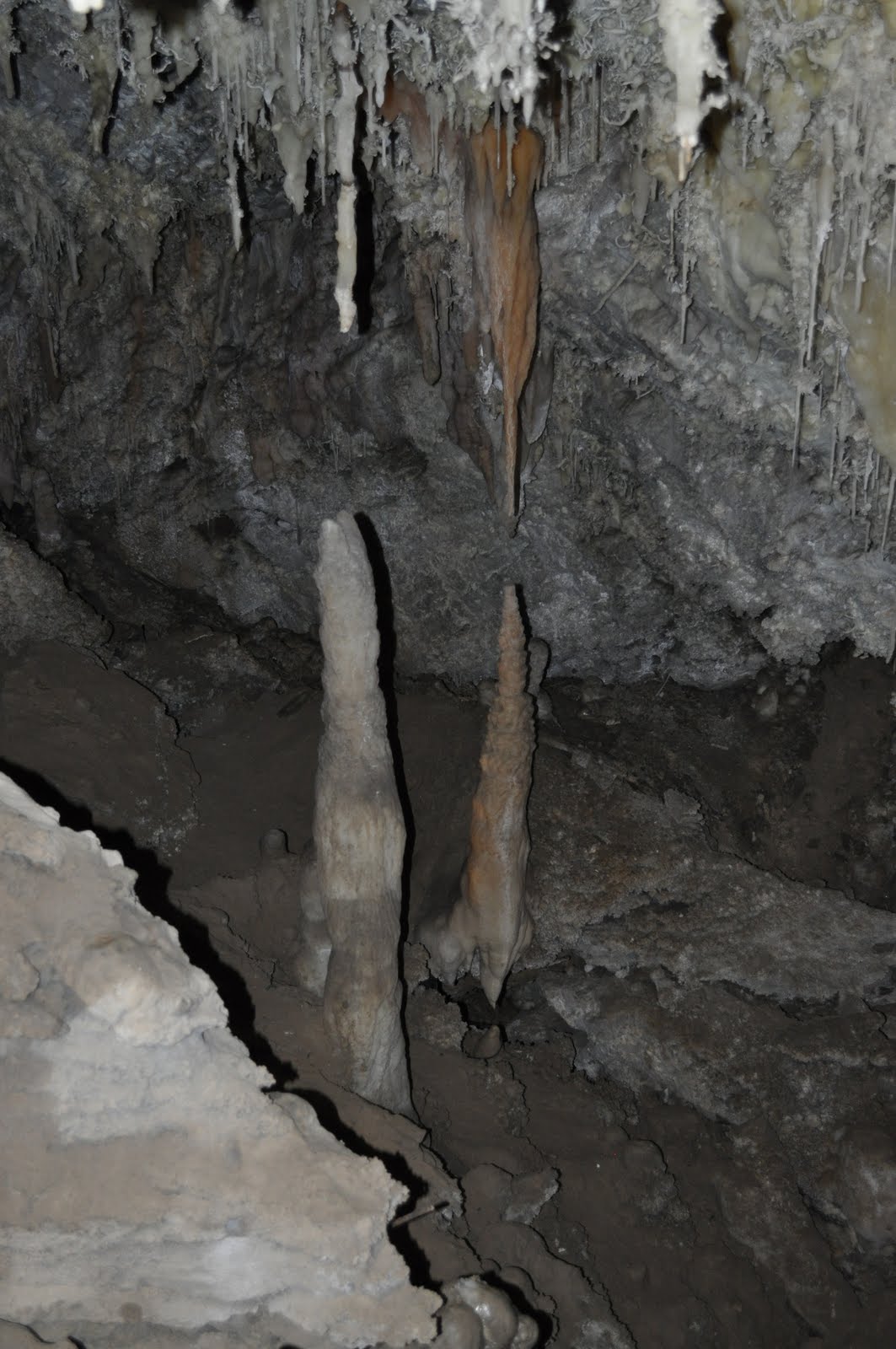 Questioning Answers In Genesis: Grand Canyon, AZ to Logan, UT — A ...