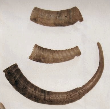 INSTRUMUNDO Instrumentos Musicales: Pito de Cuerno de Cabra