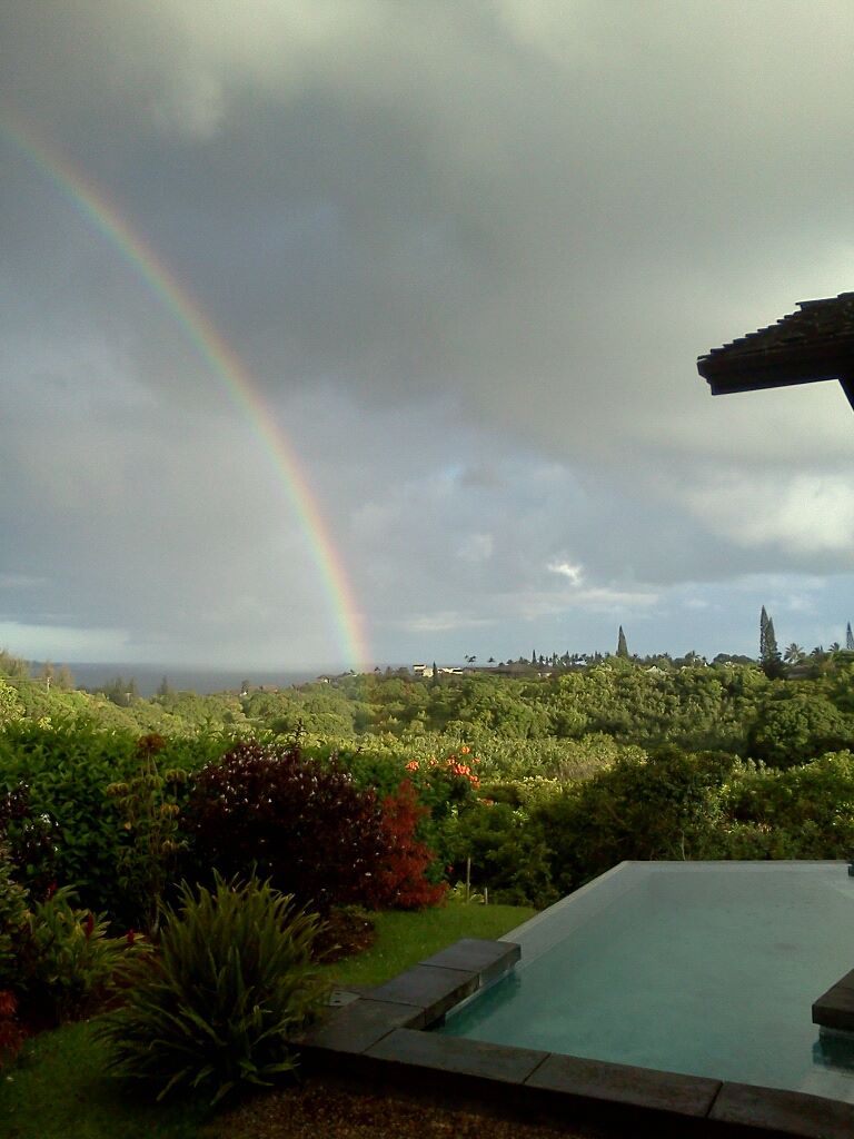 Total Dick Head Heres A Contest Pkd And The Beauty Of Nature