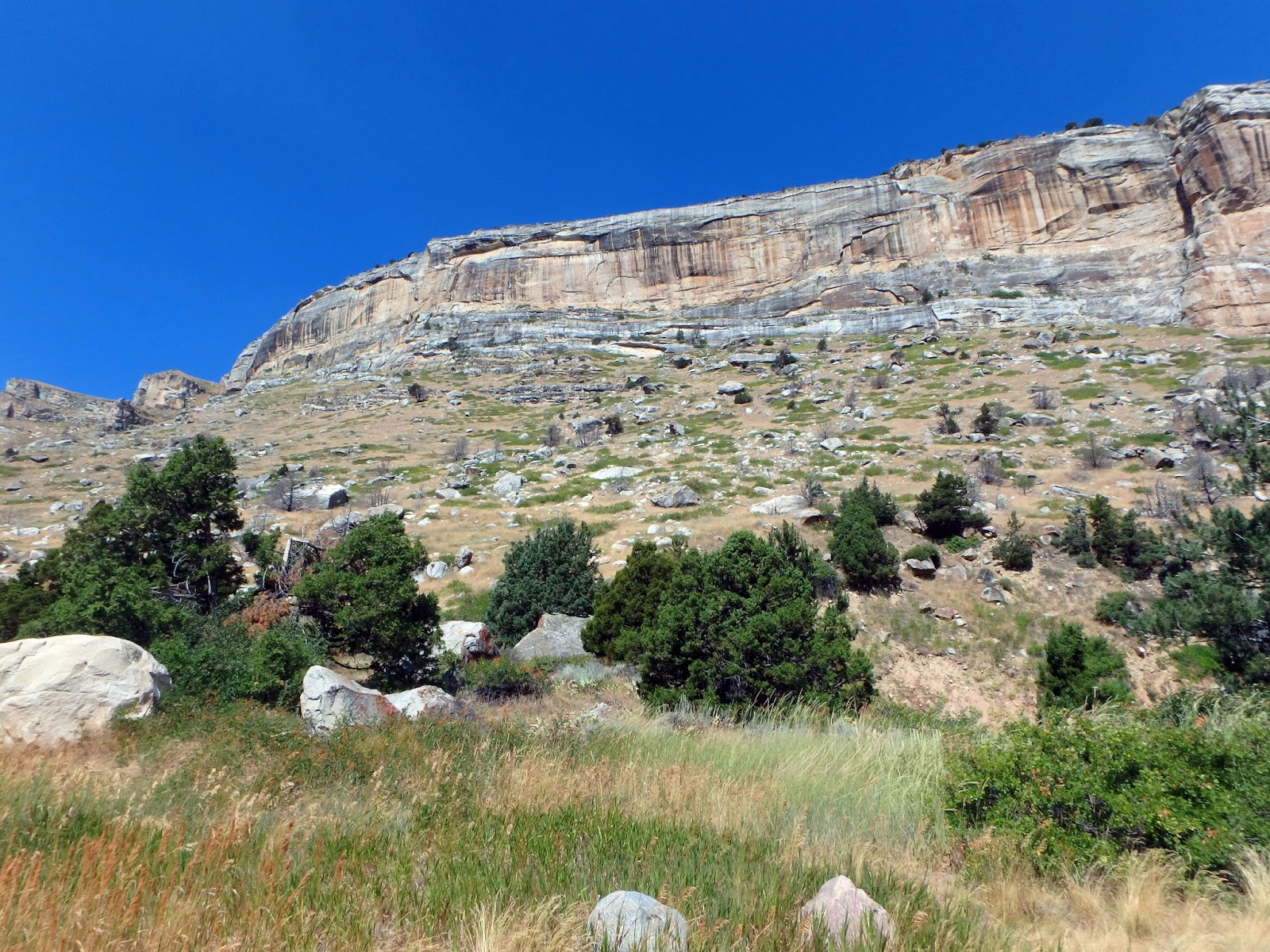 PAMPERED PENGUIN: August 16-17, 2017, Riverton, Wyoming