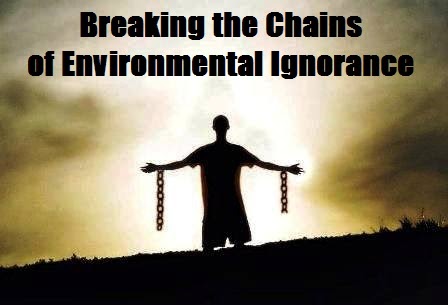 Thoughts to Promote Positive Action...: Breaking the Chains of ...