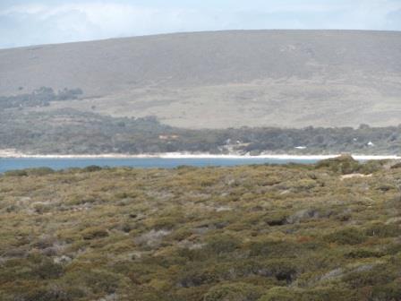 2 Geckos Travelling Australia: Mon, 20th Feb, 2017 Betty’s Beach ...