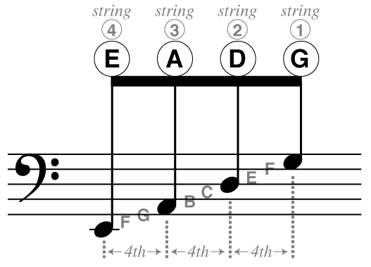 Bass Fretography: Reading Music: Notation