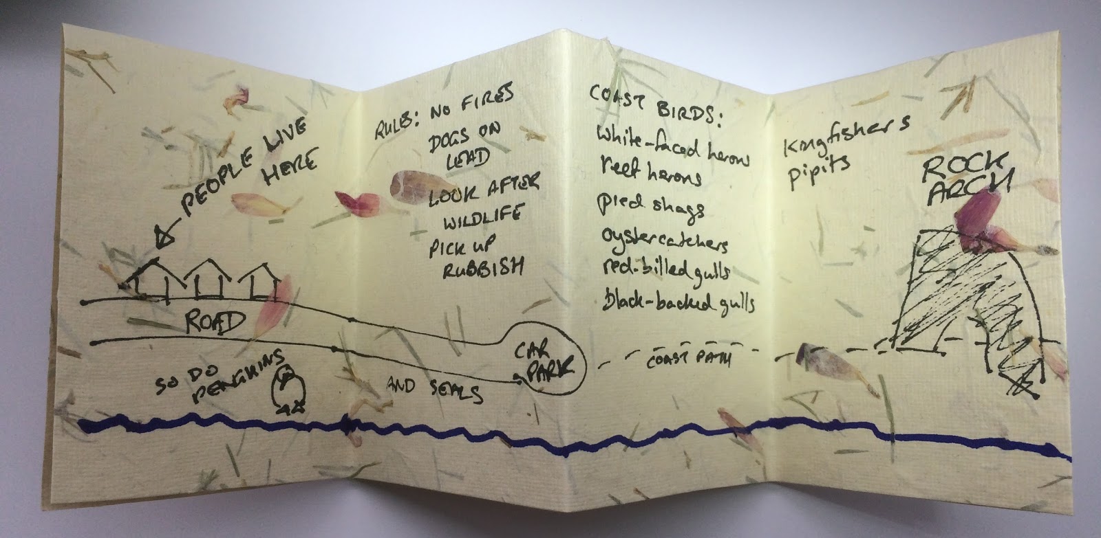 Explore and Discover Nature: Nature Kids - Making Zines to Spread the Word