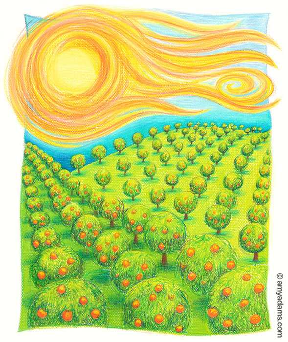 Amy's Awesome Illustration Archive: orange grove