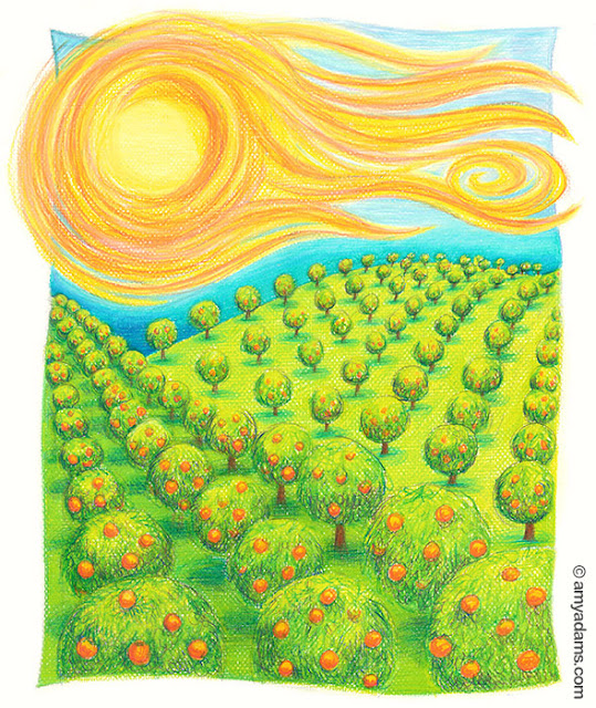 Amy's Awesome Illustration Archive: orange grove