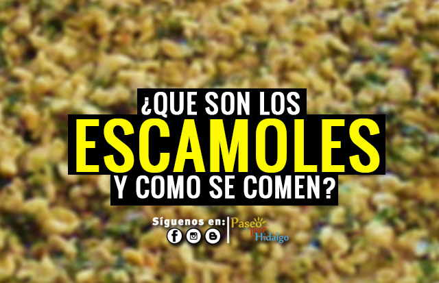 ¿Que son y como se comen los Escamoles? | Gastronomía de Hidalgo ...