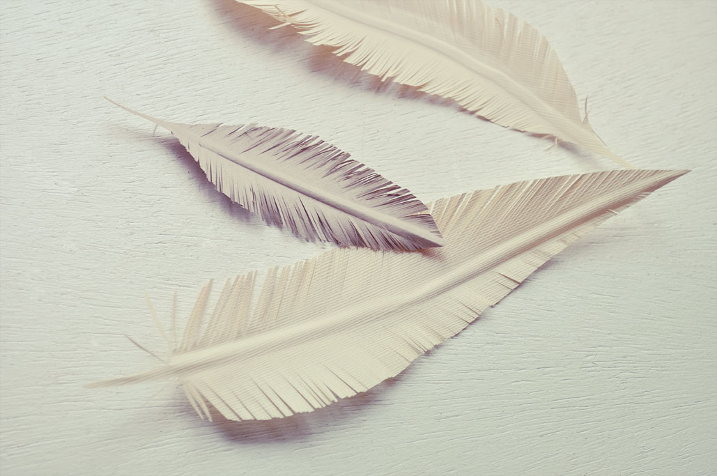 while the sun shines: paper and things