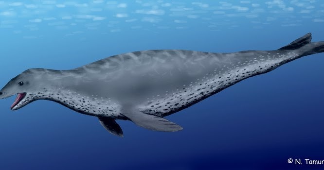 Escenarios prehistóricos: Acrophoca