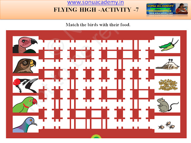 SONU ACADEMY: FLYING HIGH - ACTIVITY