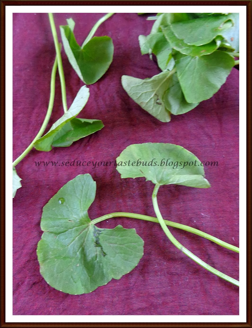 Seduce Your Tastebuds...: Vallarai Keerai | Indian Pennywort