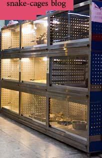 building steps of snake cages