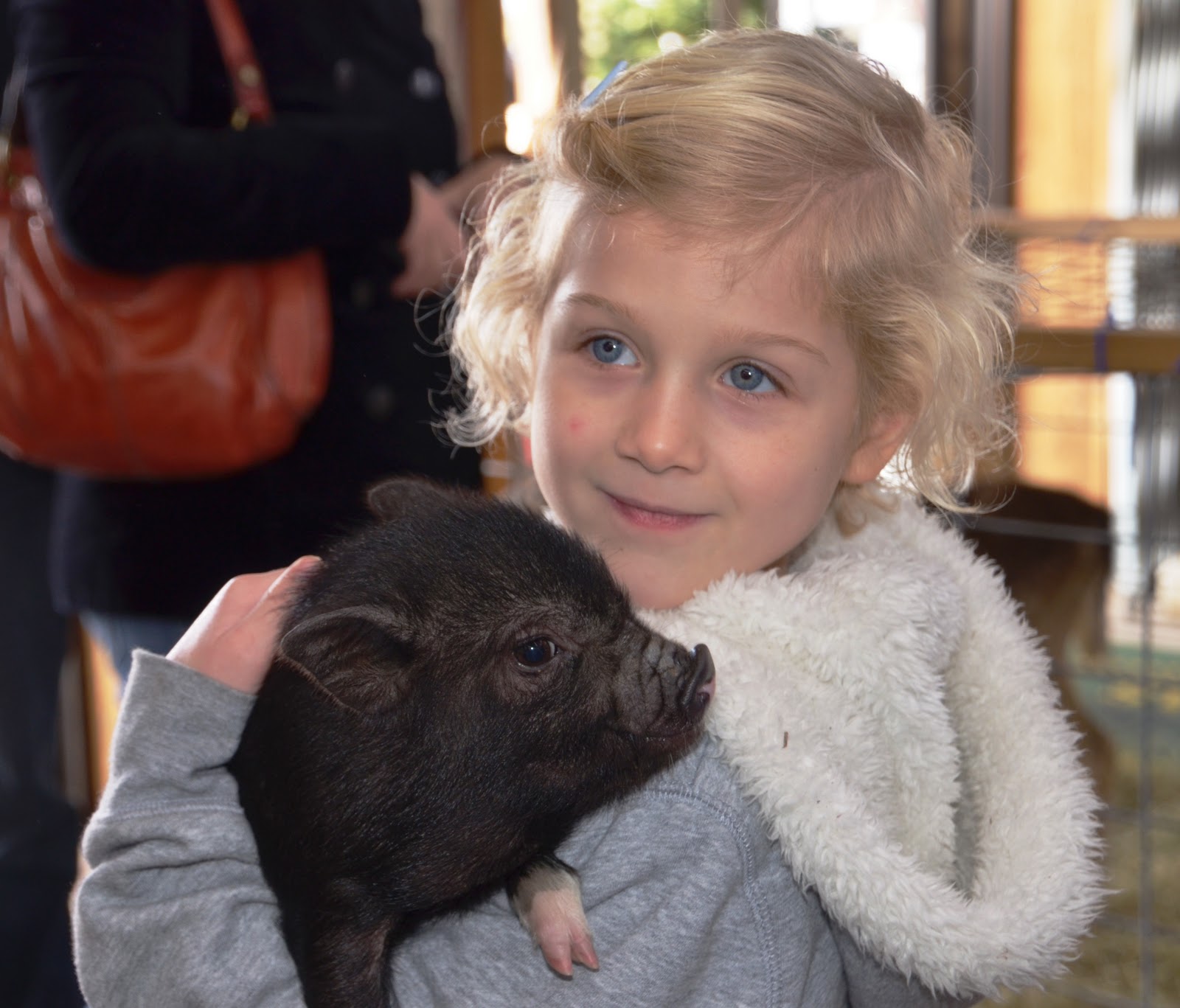 Garden Ally: Callahan's General Store