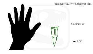 Mundo Pré-Histórico: Cooksonia, a primeira planta vascular
