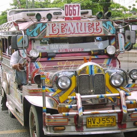 Lin-Marie Jamieson: May 2015