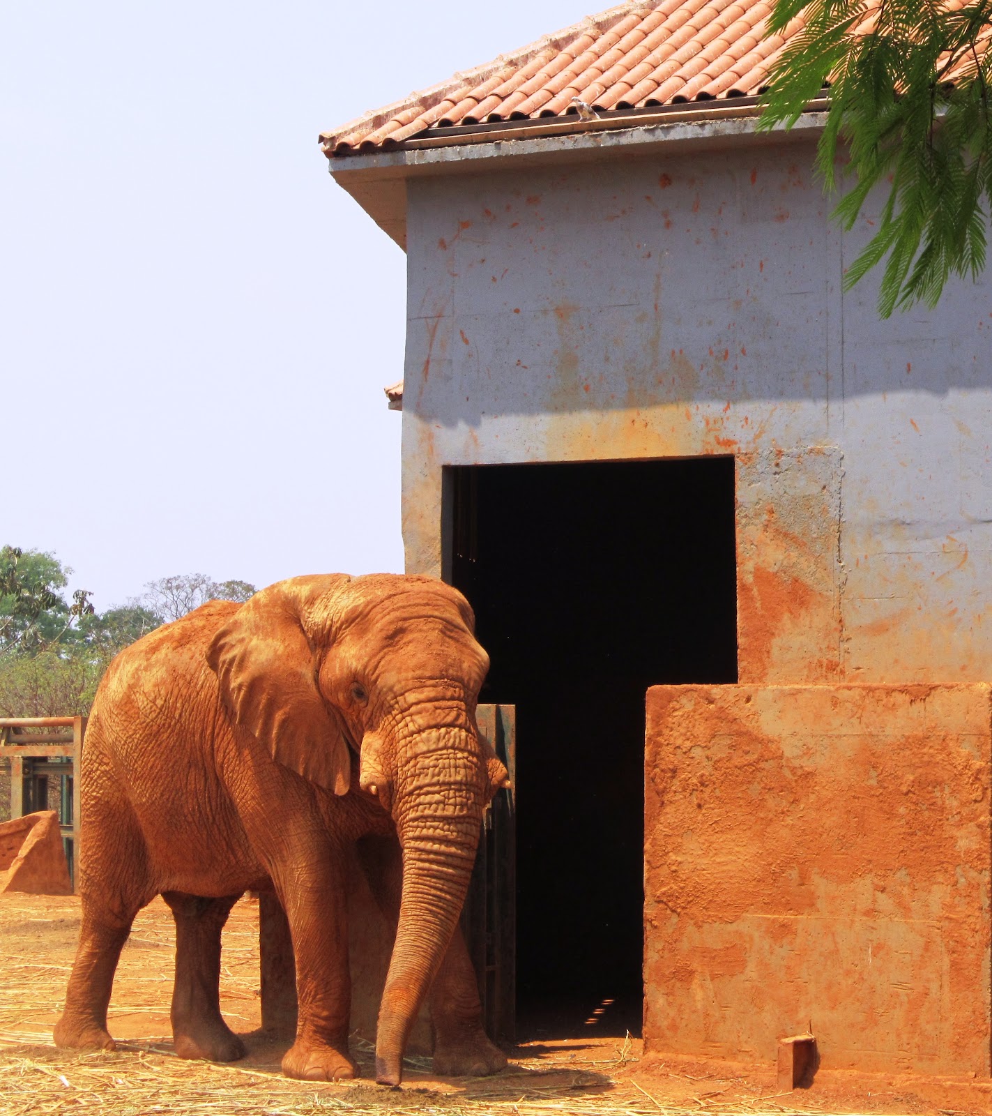 Bryce in Brazil: Brasilian Zoo [Pictures!]