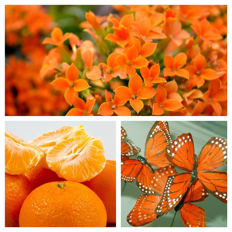 France Ringuette proCRAFTination blog: Dream Big -Cuts2Luv & White with 1