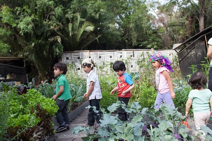Lonchería La Cadencia: Esto NO es basura, gracias al @HuertoRomaVerde