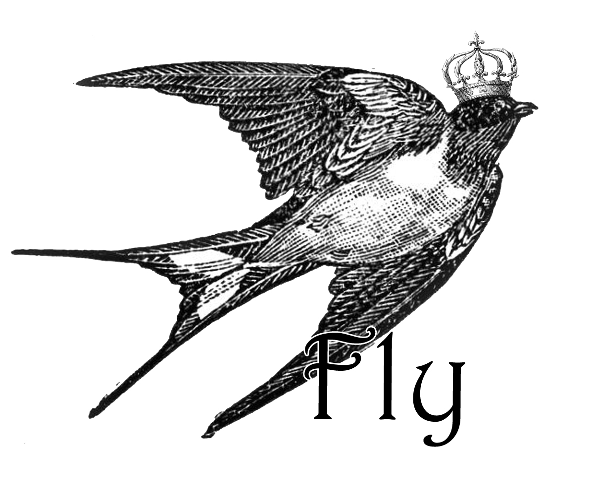 Flying Sparrow Drawing