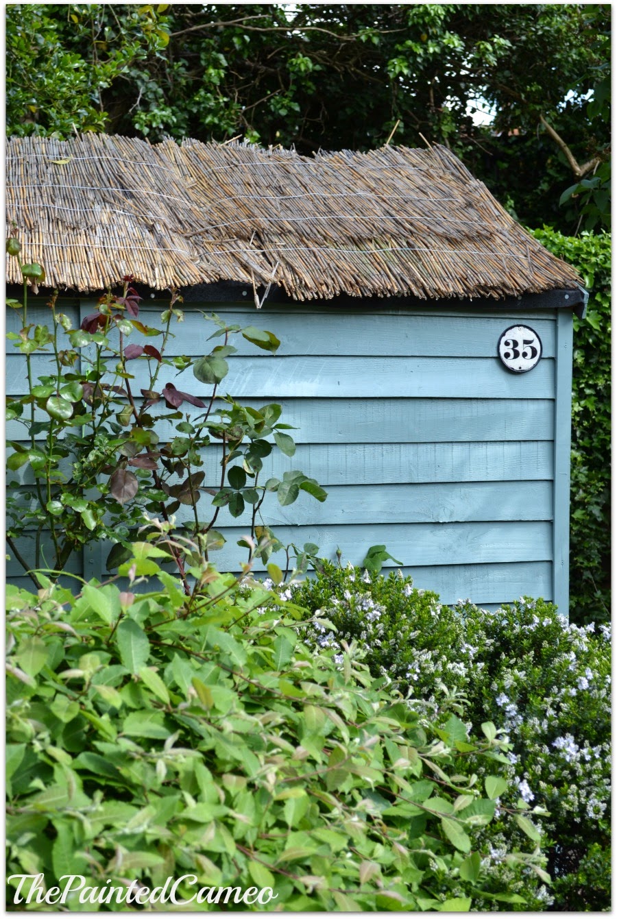 ThePaintedCameo: Our blue shed..