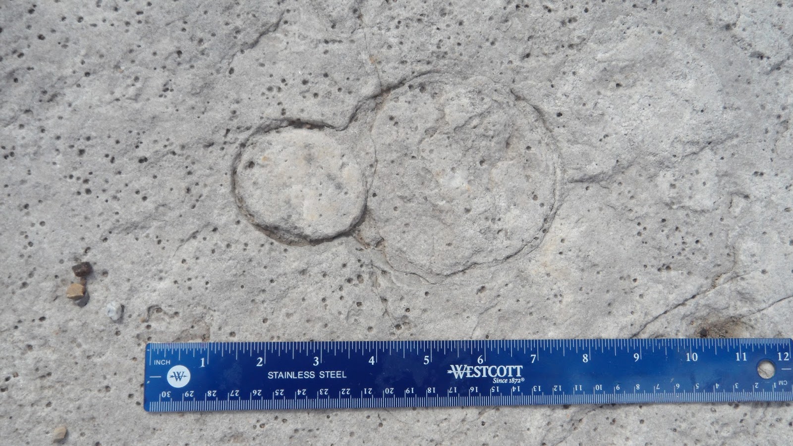 Fossils and Geology of Lanark County, Ontario: Frothed Sandstone and ...