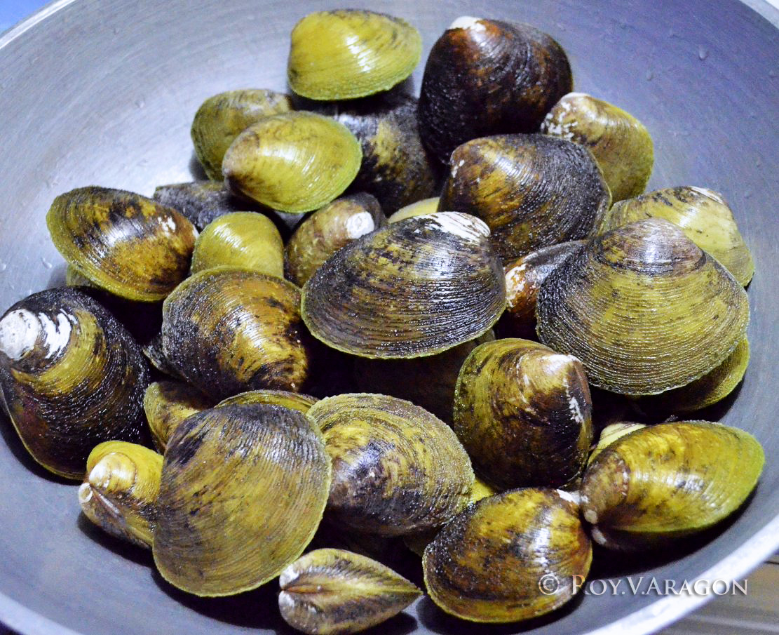 kaggo & karibuyo ~ PINAKBET REPUBLIC