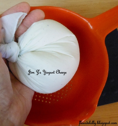 Fleur De Lolly Making Yogurt Cheeze By Guest Blogger Jim Z