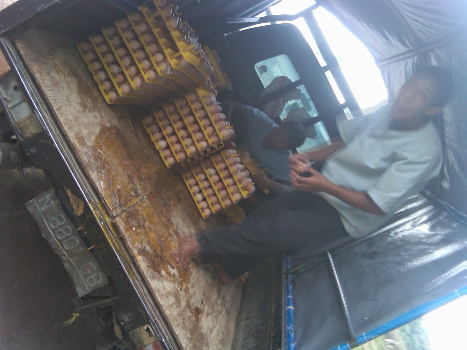 pt panca patriot prima: panca patriot prima