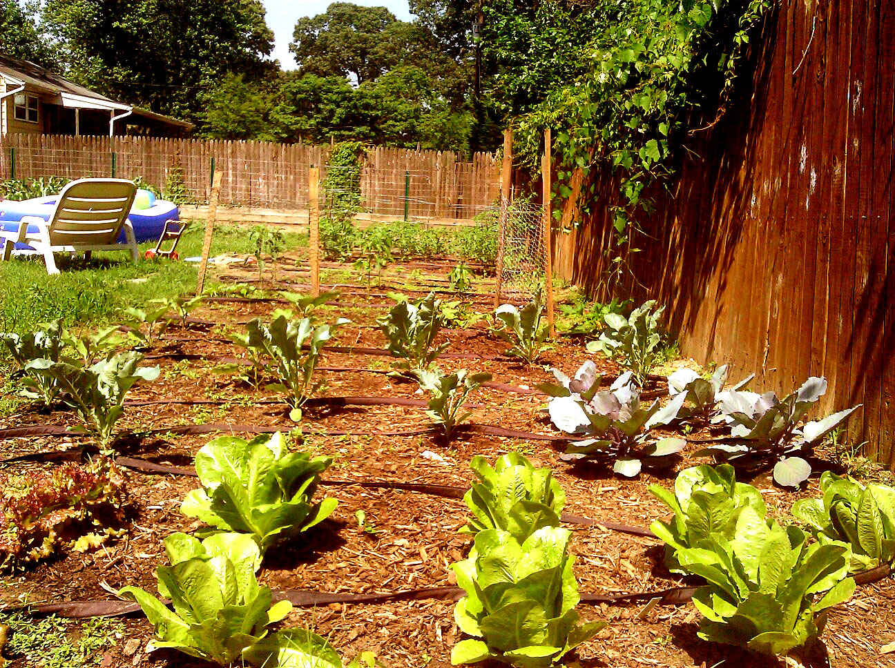 The Retro Nest: Q & A with a "Home Farming" Guru :)