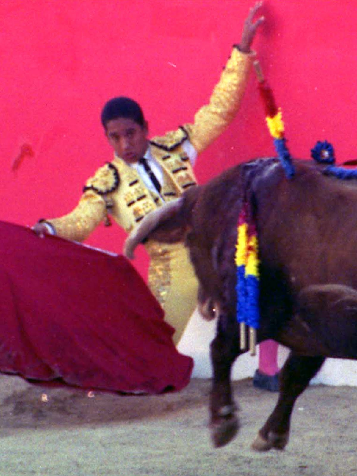 PAGINAS TAURINAS PERU: PACO PERLAZA INDULTA UN SALAGUAL Y ES EL ...