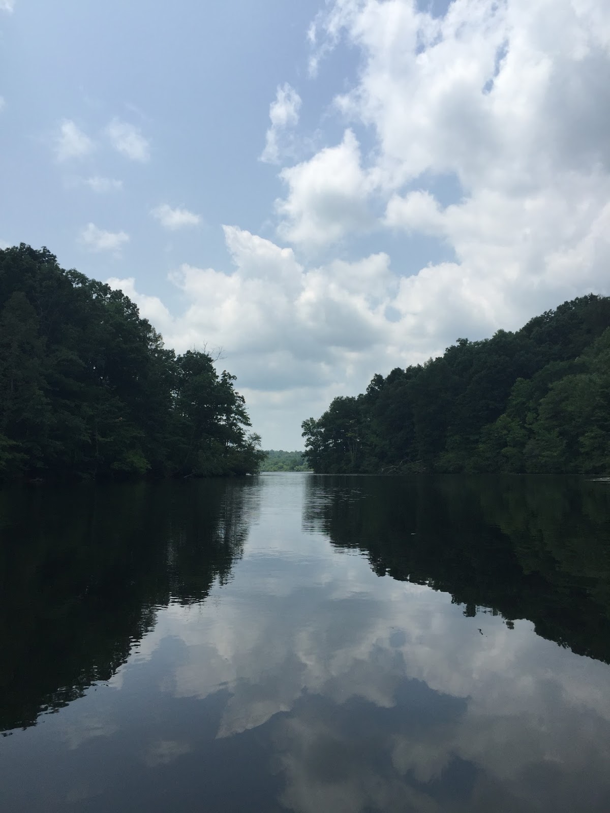 Kayaking Across Ohio: Lake Rupert: Damselflies' Playground
