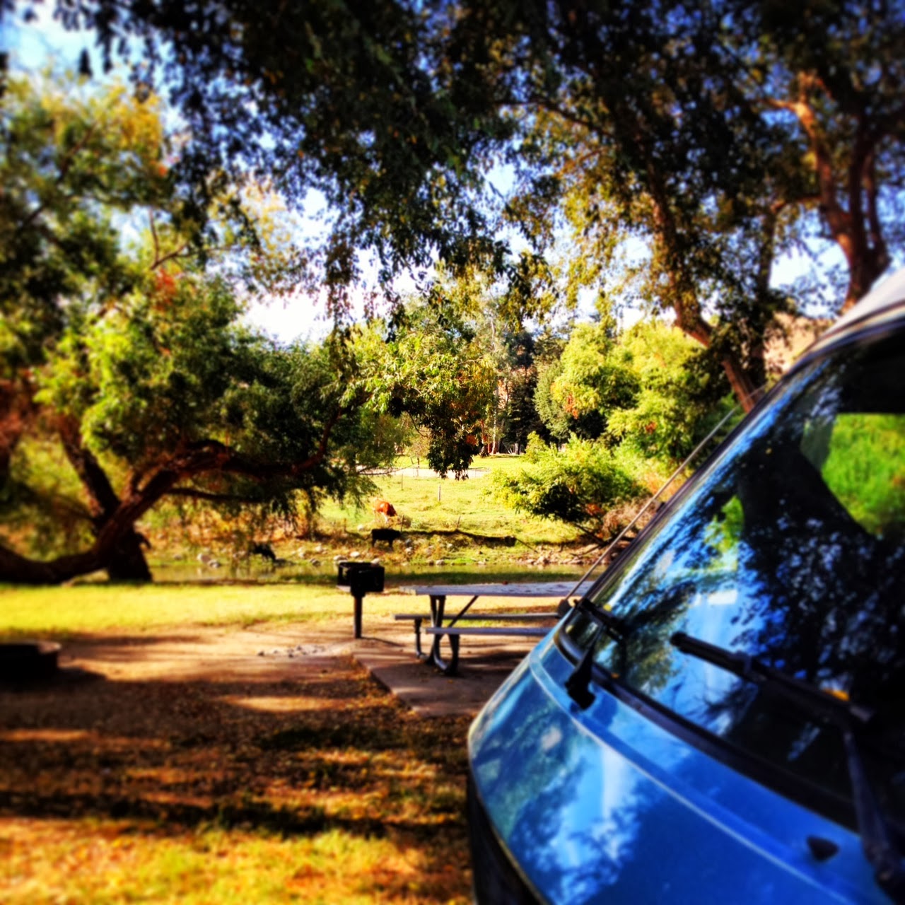 1981 VW Camper: Lake Ming