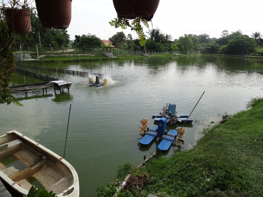 Fishing Spots in Kuala Lumpur & Selangor: Kesuma Rimba freshwater ...