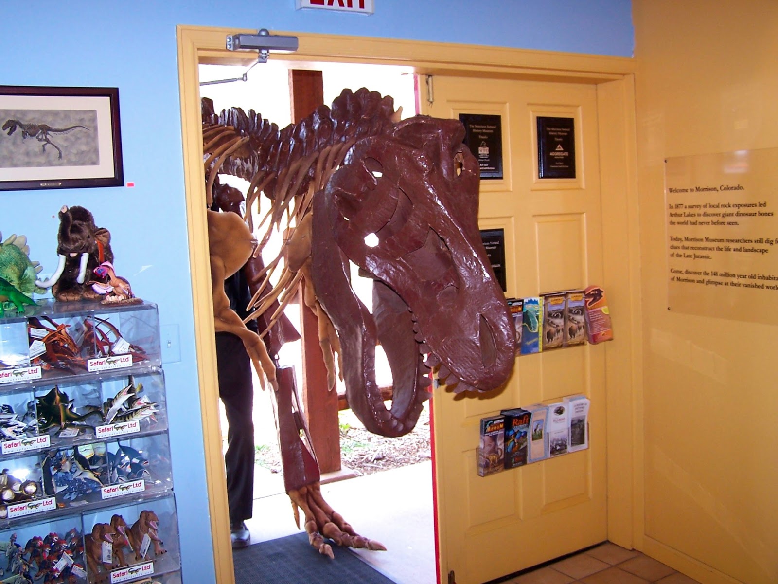 The Natural World: Mr. Bones Visits the Morrison Natural History Museum!