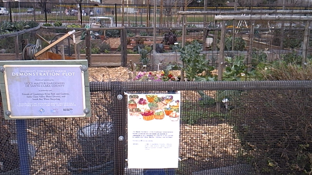 Discovering new ideas in USA Innovation - LGMA Exchange : Community ...