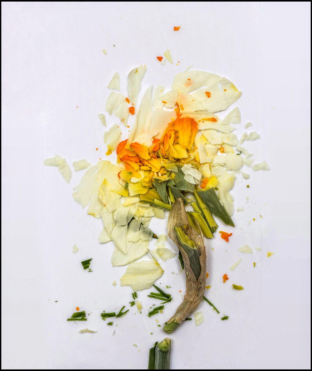 Made by JEFUNNE.: Shattered Rose!