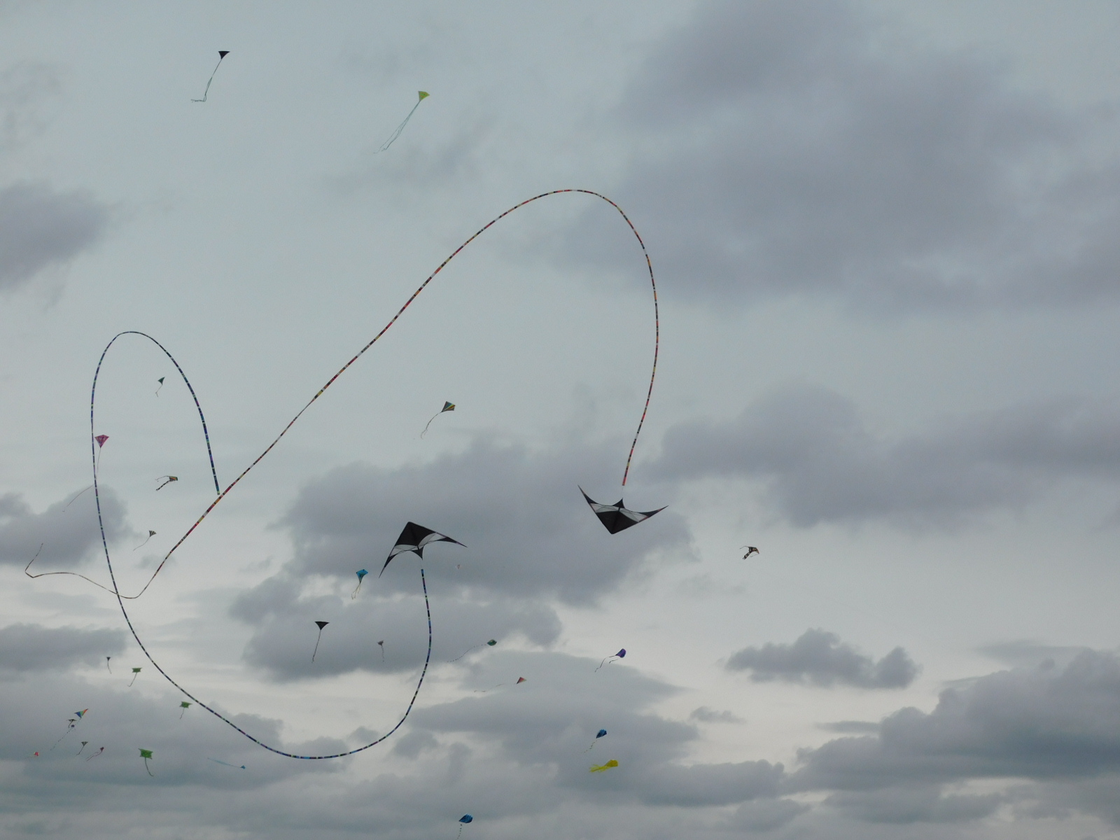 Flying Fish Kiting Team: Dunstable Kite Festival