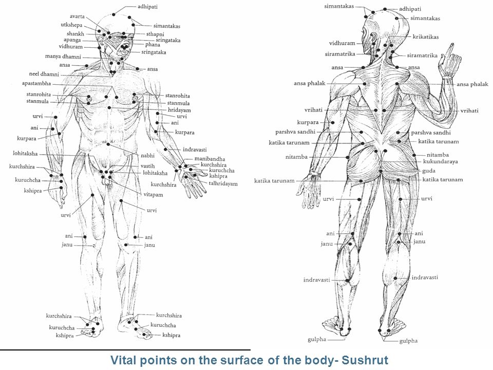 vital points foto.jpg (JPEG Imagen, 960 × 720 píxeles) | Cuerpo humano ...