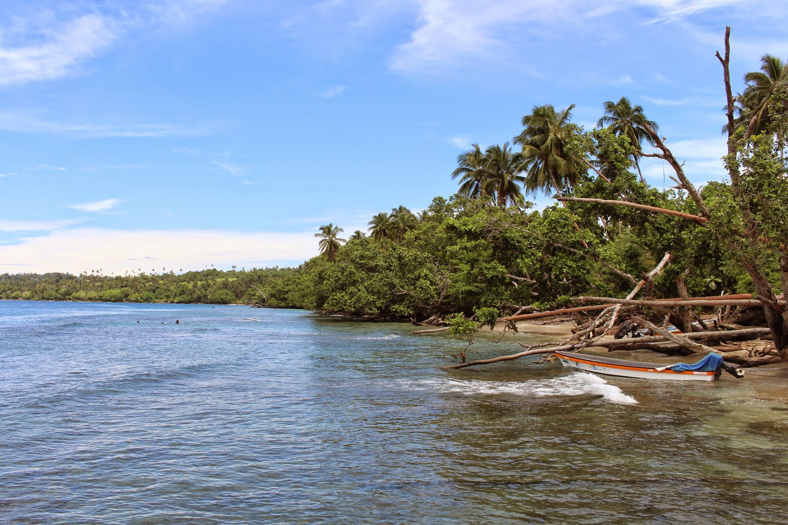 The Project Scrapbook: PNG Journal Day 7 / Karkar Island - the last day