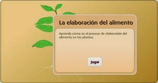 El Blog del "Profe" Juan (Ciencias): La Diversidad de los Seres Vivos ...