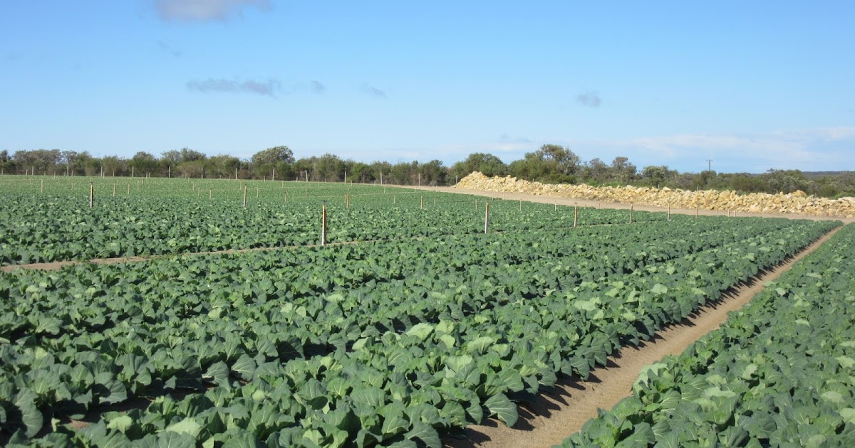 Farming industry in Australia
