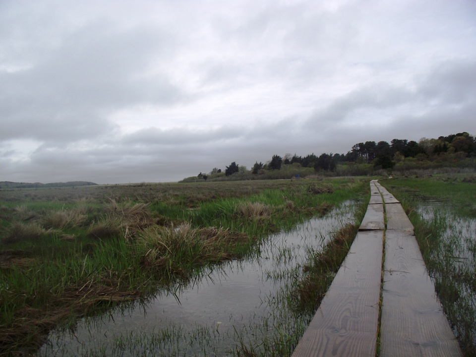 The Cape: John Wing Trail in Brewster