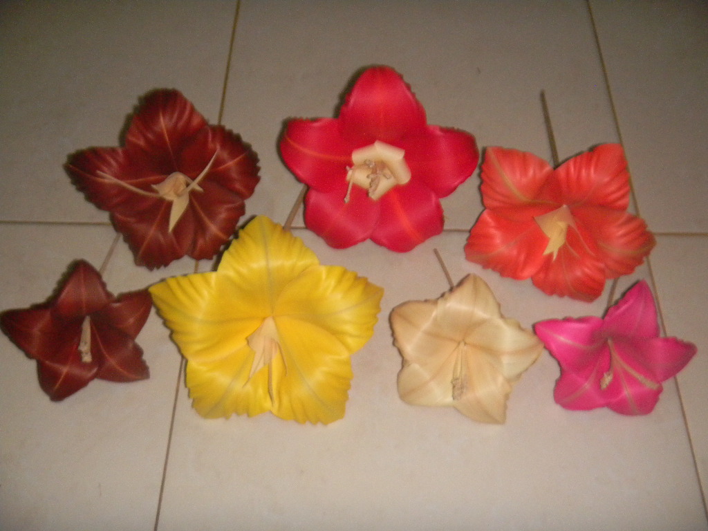 11+ Gambar Daun Lontar, Baru!