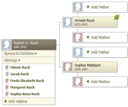My Genealogical Journey: Ruch