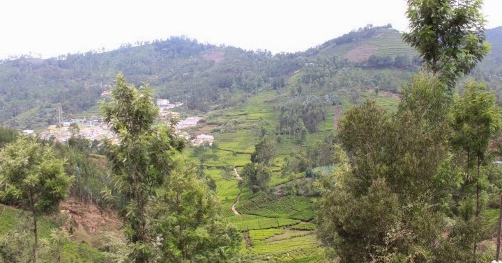 My India Travel: Coonoor