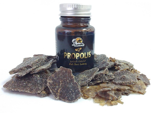 PROPOLIS & MADU LEBAH KELULUT SYAMILLE - PENAWAR DAN PENYEMBUH PELBAGAI ...